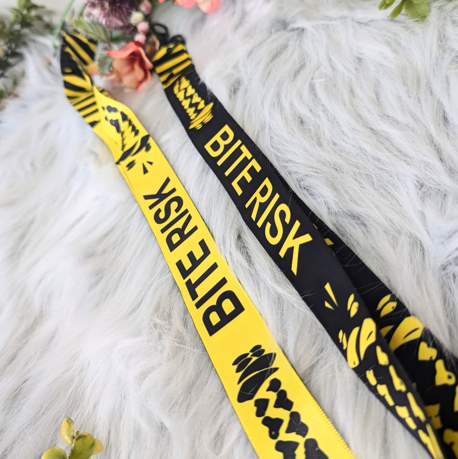 All Products – Carniv Creations